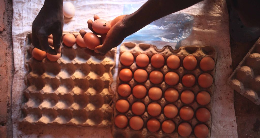 Project Details - Sight and Life